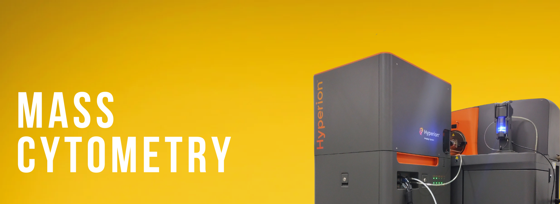 Oncoimmunology & Cytomics Lab